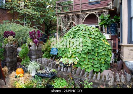 Bye-Way Gardens Florist, Gardening Store on Bridge Street in ...
