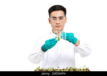 Male young scientists study plants Stock Photo - Alamy