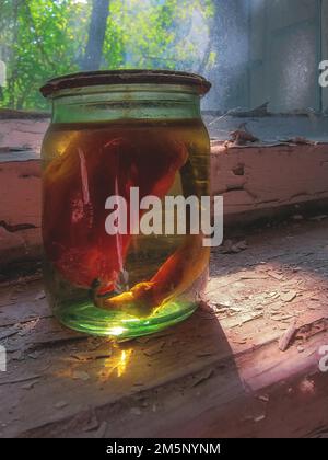 Pickled fruit, Middle school #3, Lost Place, Prypyat, Chernobyl ...