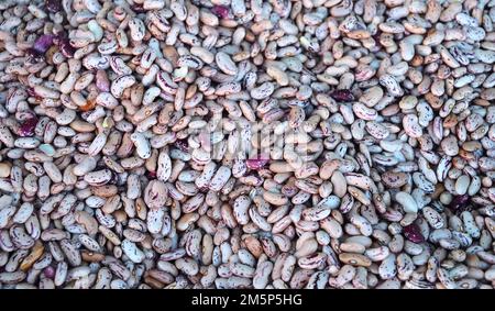 lot of Fresh whole borlotti beans Stock Photo - Alamy
