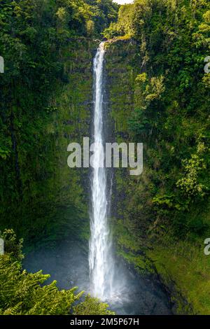 Akaka Falls, Akaka Falls State Park, Hilo, Big Island, Hawaii, USA ...