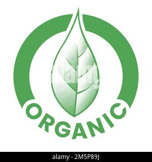 Organic Engraved Round Icon with 3 Green Leaves isolated on a White ...