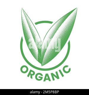 Organic Engraved Round Icon with 3 Green Leaves isolated on a White ...