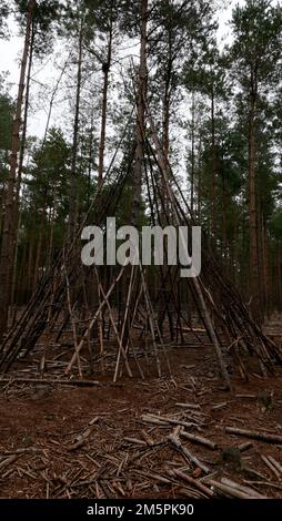 A temporary shelter made with tree branches, these branches would have ...