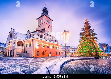 Beautiful snowy christmas tree in the holiday interior. Empty space for ...