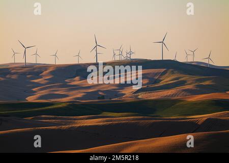 Windmills at sunset atop rolling farmland; Palouse region; Washington ...