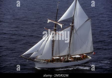 French Navy schooner Etoile, Sail Den Helder, 1997 Stock Photo - Alamy