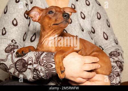 A woman looks sideways while holding a small golden object Stock Photo ...
