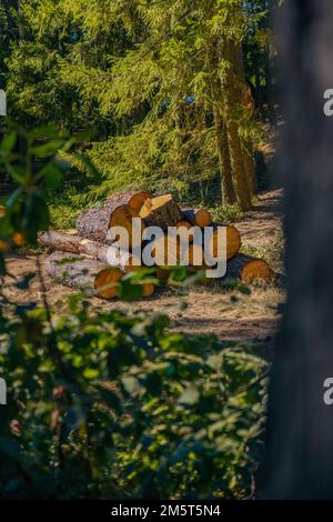 A beautiful vertical shot of wood logs lined up in a pile covered with ...