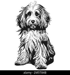 Havanese dog hand drawn line art vector drawing black and white logo ...