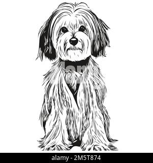 Havanese dog hand drawn line art vector drawing black and white logo ...