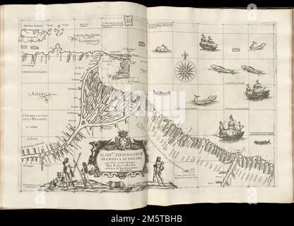 Al sermo. Ferdinando. II. Grandvca di Toscana svo signore Don Roberto ...