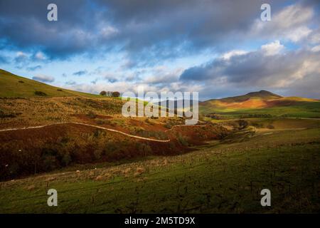 Looking towards Hownam Law from Over Whitton in the Cheviot Hills ...