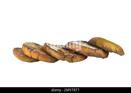 apple green dry rotten isolated white background Stock Photo - Alamy