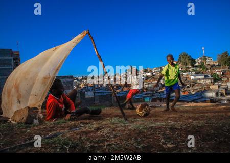 Nairobi, Kenya. 29th Dec, 2022. A dead tree stump in Kibera Slum of ...