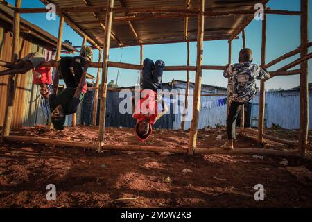 Nairobi, Kenya. 29th Dec, 2022. A dead tree stump in Kibera Slum of ...