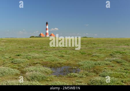 Salt marshes and tideways at Westerheversand lighthouse, Germany Stock ...