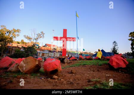Nairobi, Kenya. 29th Dec, 2022. A dead tree stump in Kibera Slum of ...