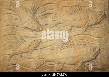 Fossilised Fish Stone Carving Natural History Museum London Stock Photo ...