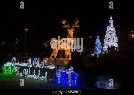 Christmas Tree Wonderland, Bournemouth, Dorset UK in December - sparkly ...
