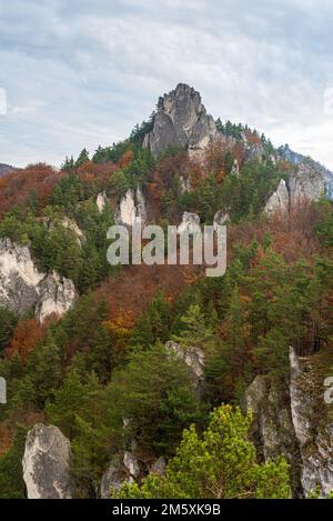Sulovske skaly (Sulov Rocks): forest, trees, sun rays through morning ...
