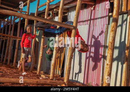 Nairobi, Kenya. 29th Dec, 2022. A dead tree stump in Kibera Slum of ...