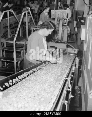 Vegetable packing plant in California, ca. 1950 Stock Photo - Alamy