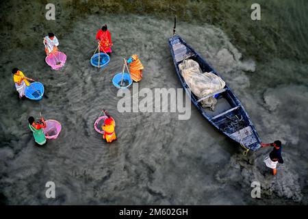 Fisherman family seen using colourful nets during fishing on the Matla ...