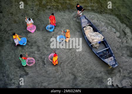 Fisherman family seen using colourful nets during fishing on the Matla ...
