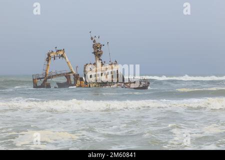 Many cormorants sitting on abandoned shipwreck of stranded Zeila vessel ...
