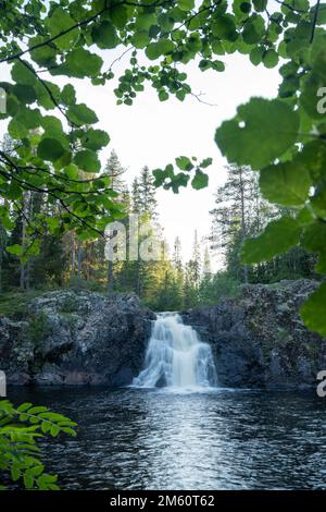 A vertical shot of a waterfall in a forest surrounded by wild nature in ...