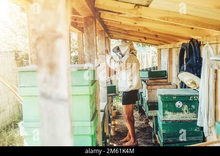 Beekeeper manipulating with honeycomb full of golden honey Stock Photo ...