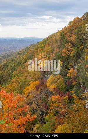 Autumn color shows in the forested mountains of Central Appalachia ...
