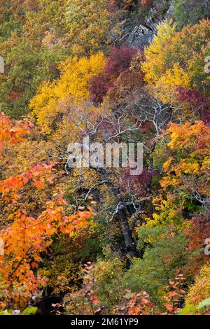 Autumn color shows in the forested mountains of Central Appalachia ...