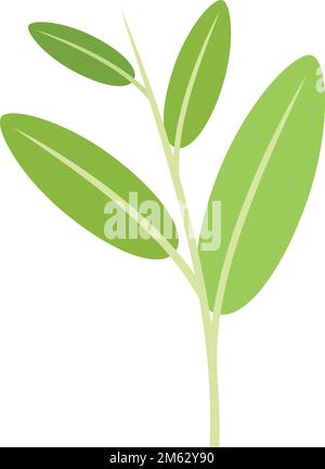 Sage smudge icon flat vector. Herb stick. Herbal salvia isolated Stock ...