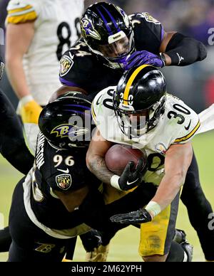 Baltimore Ravens defensive tackle Broderick Washington (96) takes to ...