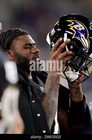 Baltimore Ravens quarterback Tyler Huntley (5) an NFL football game ...