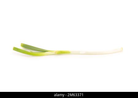 Green Japanese Bunching Onion on White Background Stock Photo - Alamy