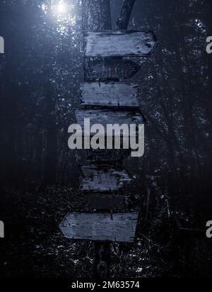 Wooden signs-pointers in a deep dark forest Stock Photo - Alamy