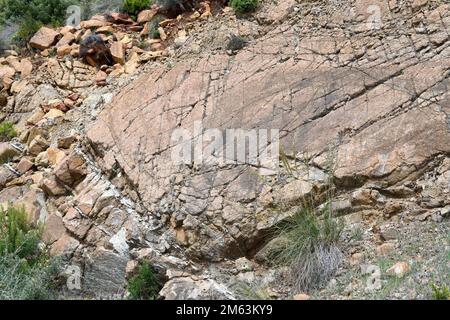 Peridotite is an ultramafic igneous rock composed mostly by olivine and ...