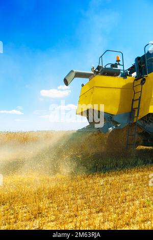 view on grinding of wheat at harvest Stock Photo - Alamy