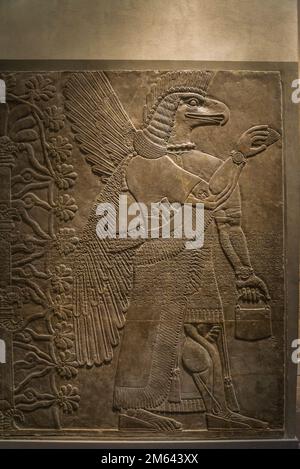 Low relief sculptured panels, Assyrian Palace Sculptures, Metropolitan ...