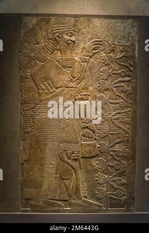 Low relief sculptured panels, Assyrian Palace Sculptures, Metropolitan ...