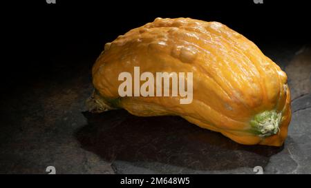 Fat and small yellow squash on a brown stone surface Stock Photo - Alamy