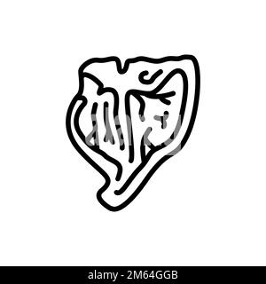 Steak beef porterhouse color line icon. Cutting meat. Pictogram for web ...