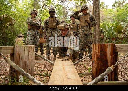 Combat Logistics Regiment 37 leadership observes Marines setting up ...