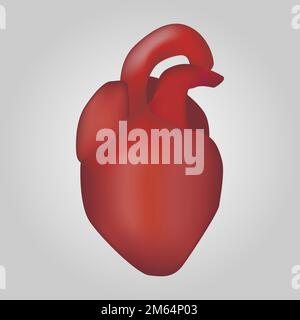 Heart vector design. Realistic anatomy pictures. Human body internal ...