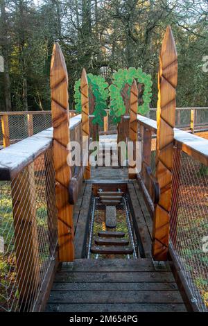 Wicklow, Ireland - January 2nd 2023 : Inside the treetop walk viewing ...