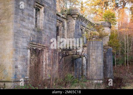 Ruins of a Scottish Castle hidden in the forest Stock Photo - Alamy