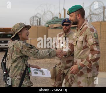 A Norwegian officer presents the Norwegian Ruck March pin and ...